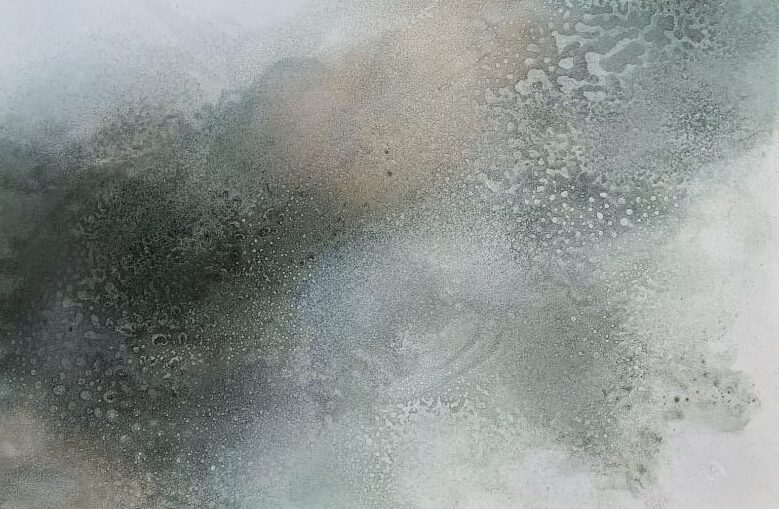 Vert IV – Helena Fretta